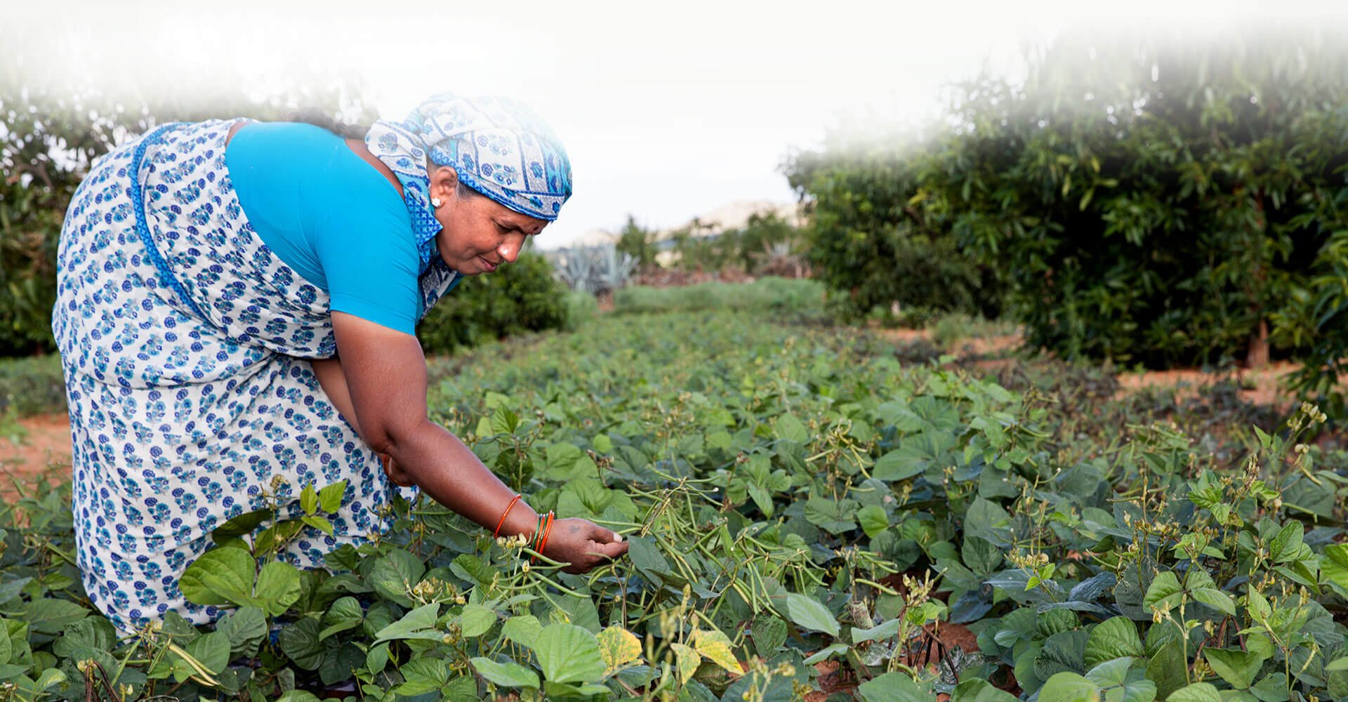 Home - Rural Development Trust