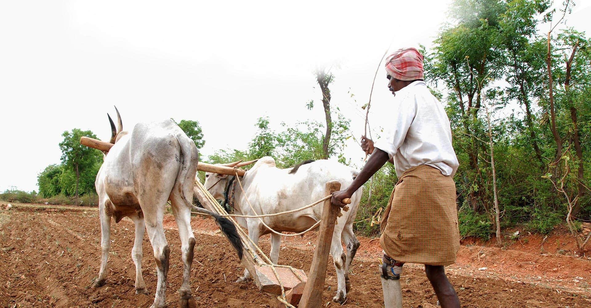 Home - Rural Development Trust