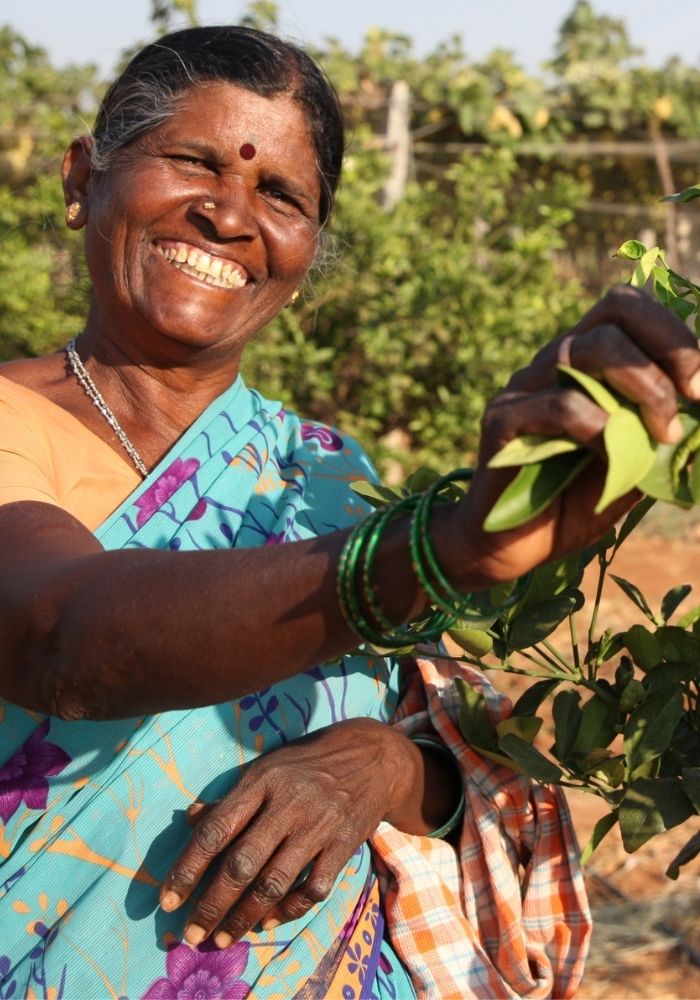 Home - Rural Development Trust